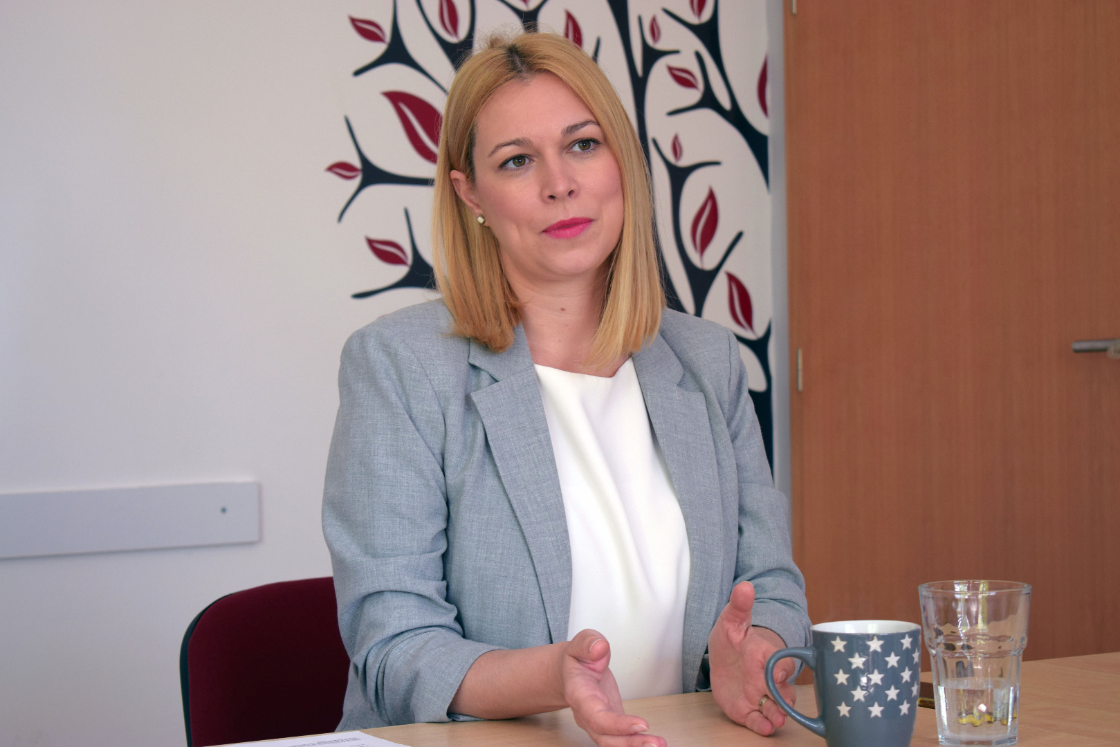 Comprehensive approach to work in Kiseljak