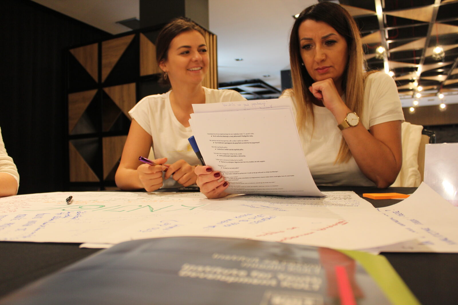 Nastavno i stručno osoblje iz BiH učilo metode i tehnike za ...