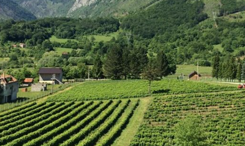 Ministar Hrnjić: Usvojena Strategija poljoprivrede i ruralnog razvoja 2021-2027.