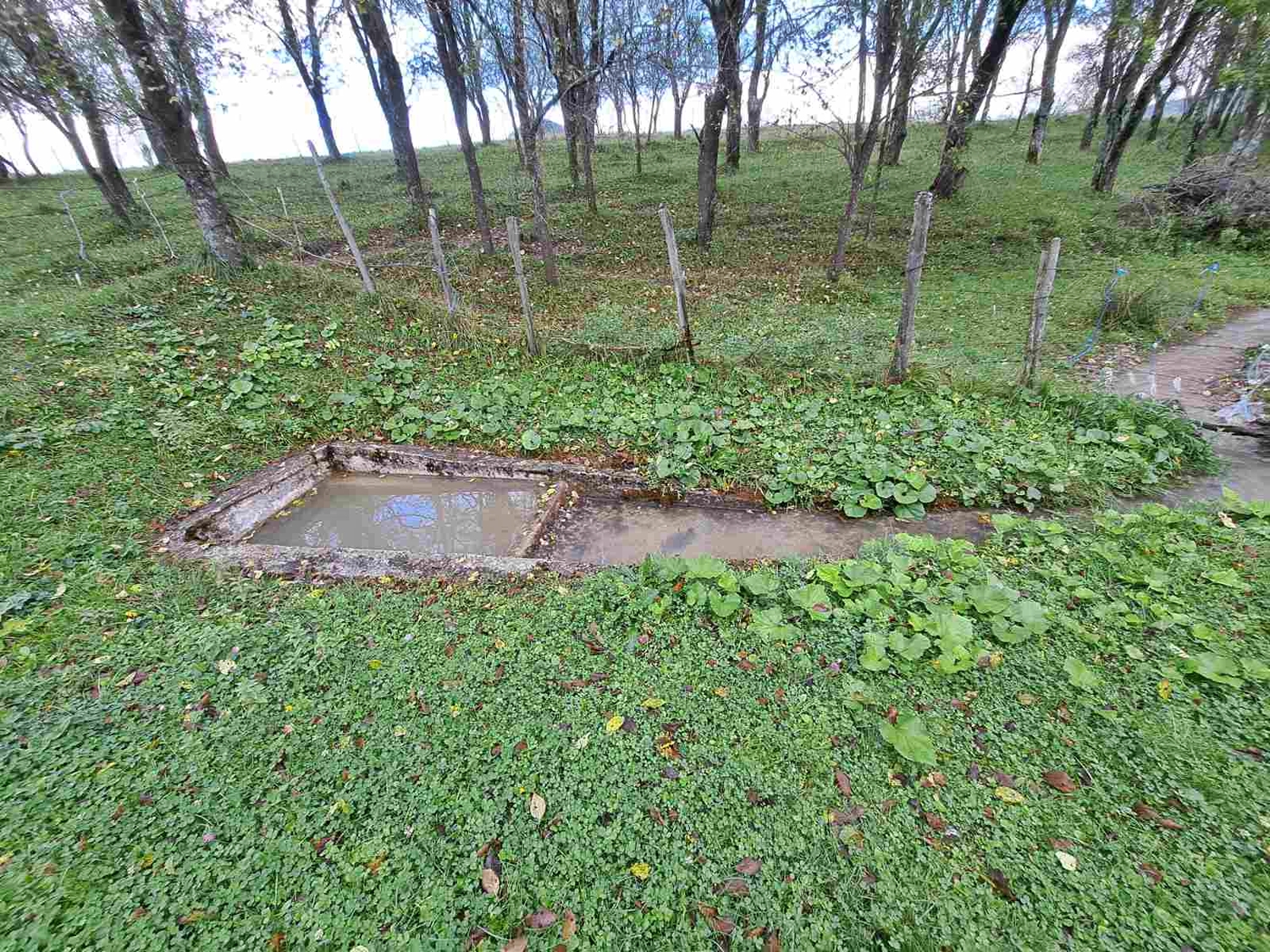 Local community Preodac from Bosanski Grahov in the fight against ...